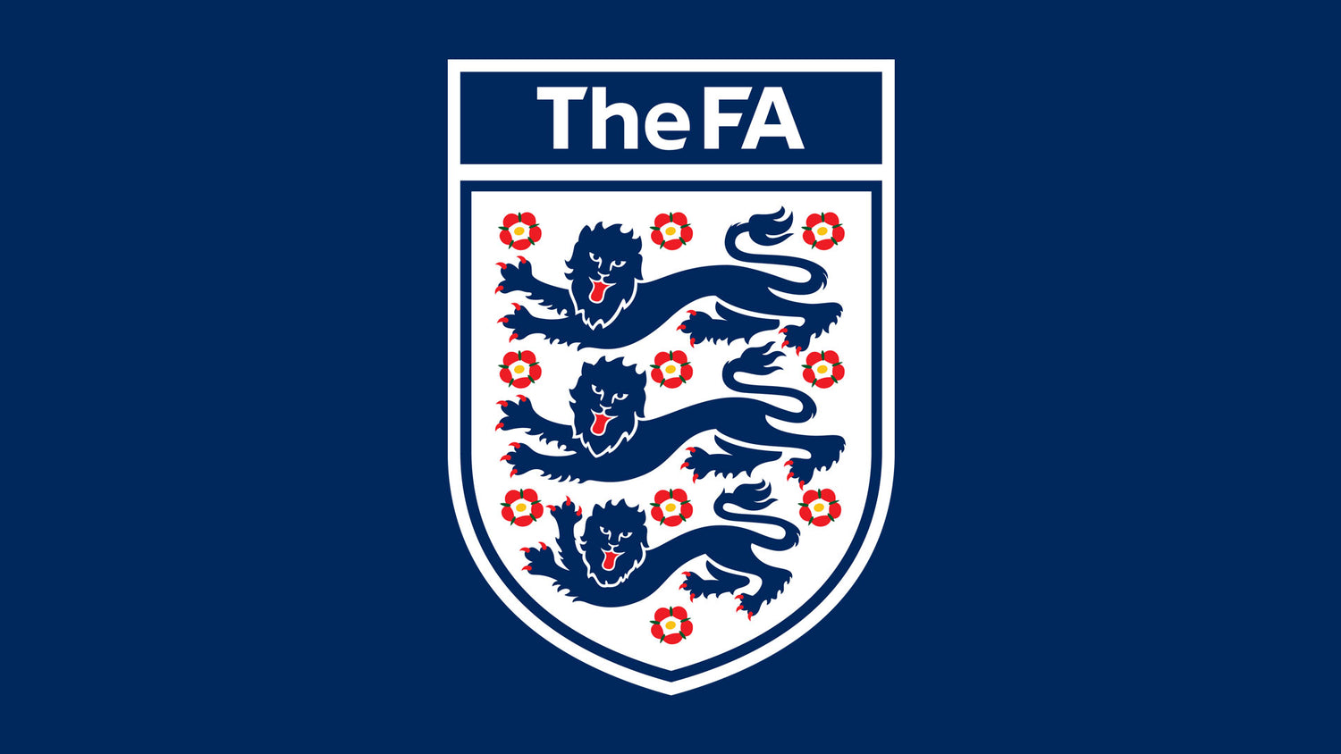 FA EE Playmaker Course - Ages 14+ – communitycohesiongroup